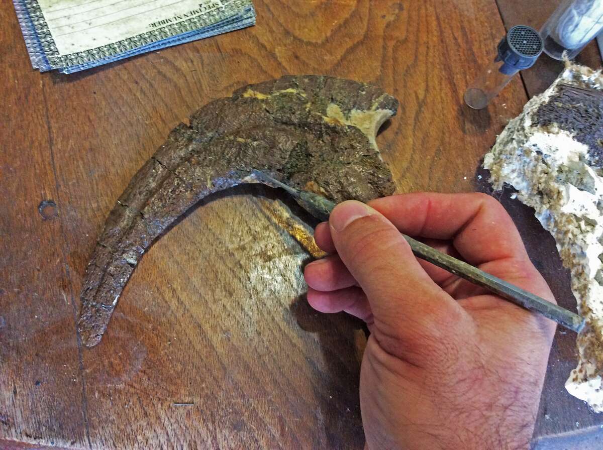 Newest dinosaur discovered is a seriously badass giant raptor