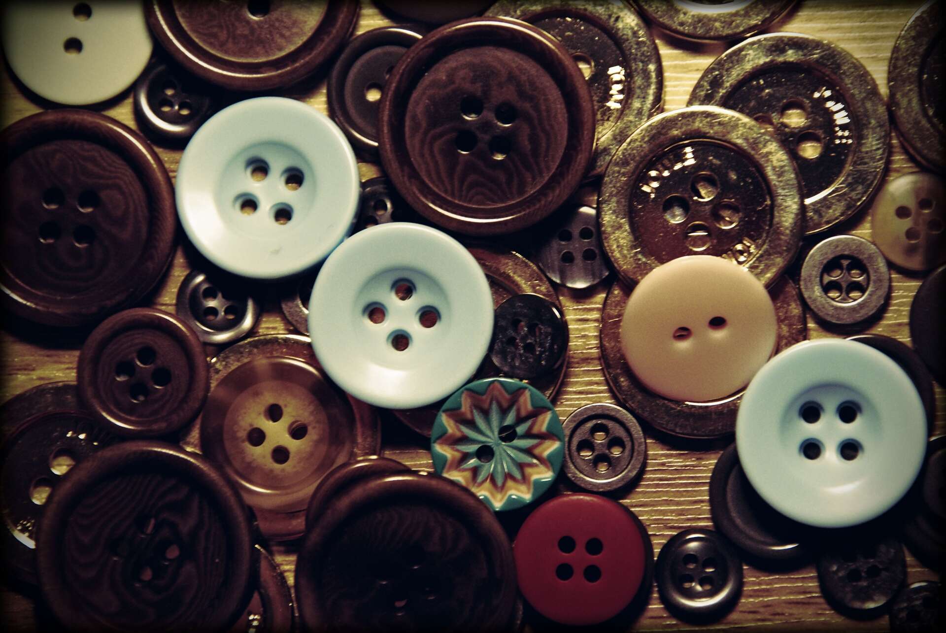 All the super-specific Bay Area stores you didn't know existed