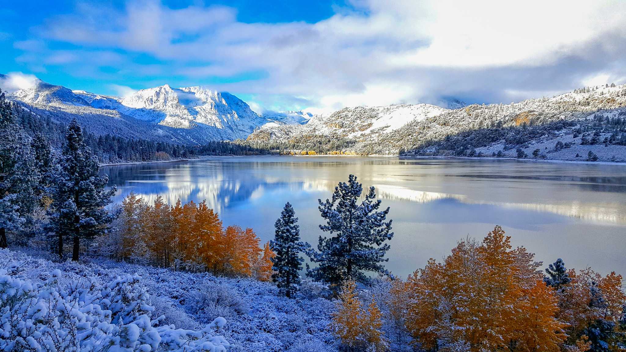 This Week s Best California Fall Colors SFGate