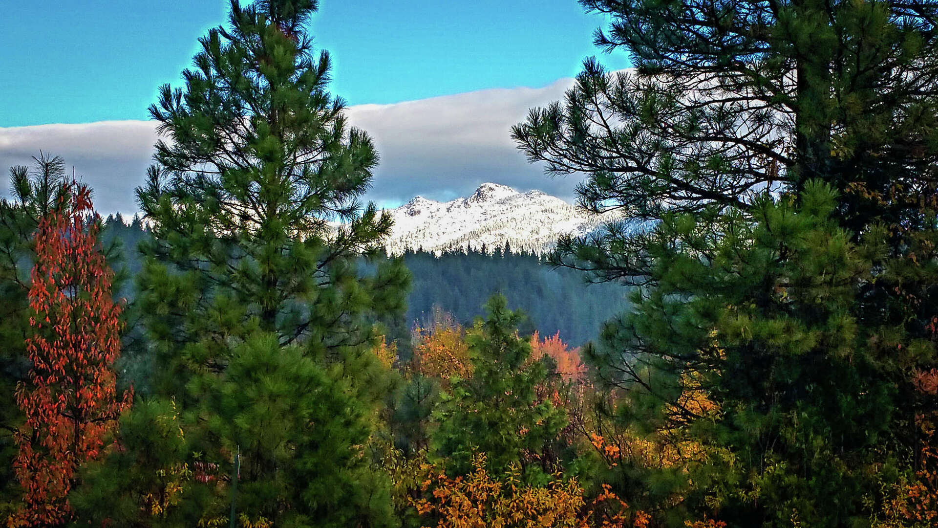 This Week's Best California Fall Colors