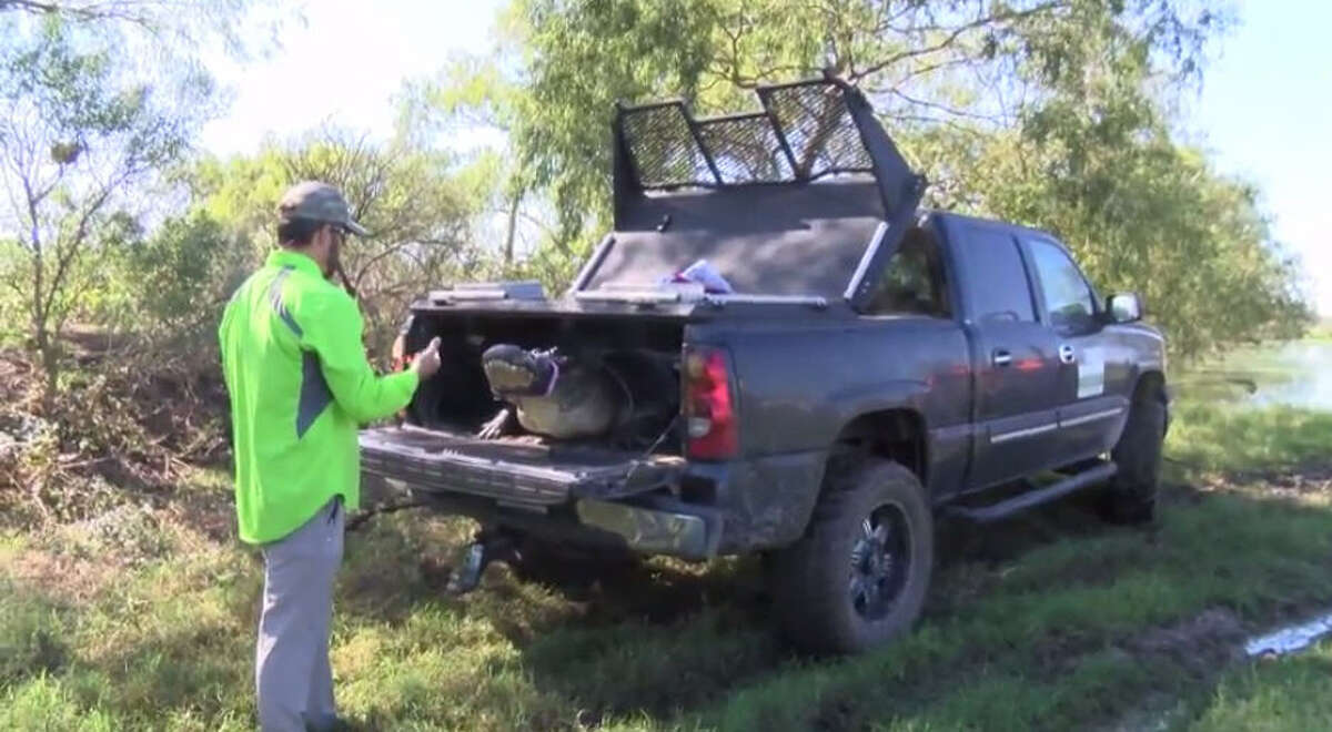 Video: Houston gator wranglers release massive urban alligator into ...