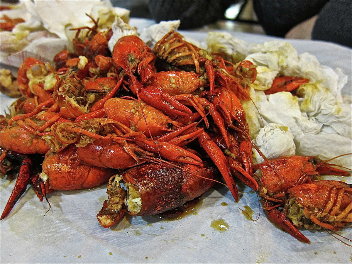 21 or so things that all Houston area kids should be able to do