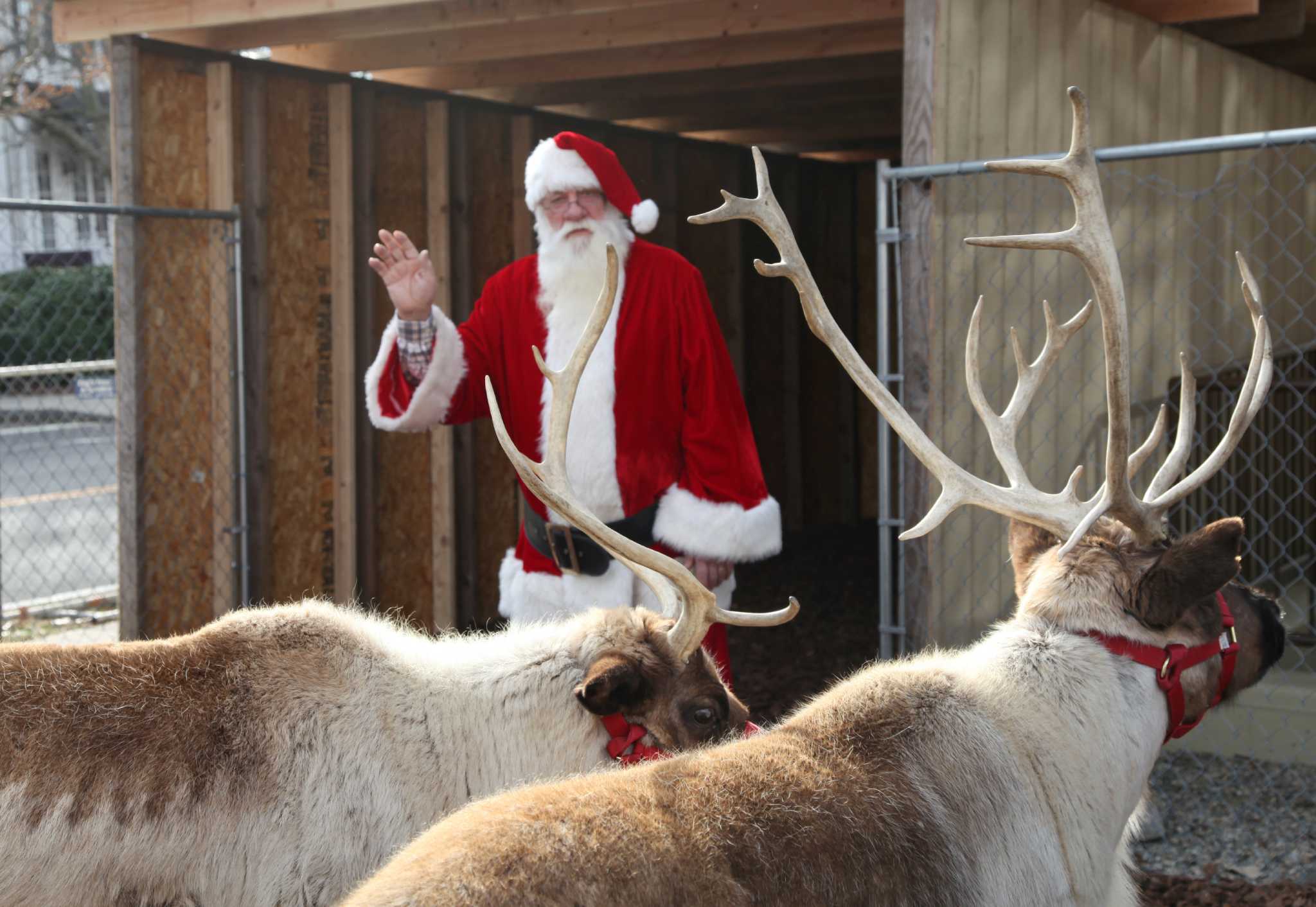 Santa and his reindeer return to Greenwich at McArdle’s