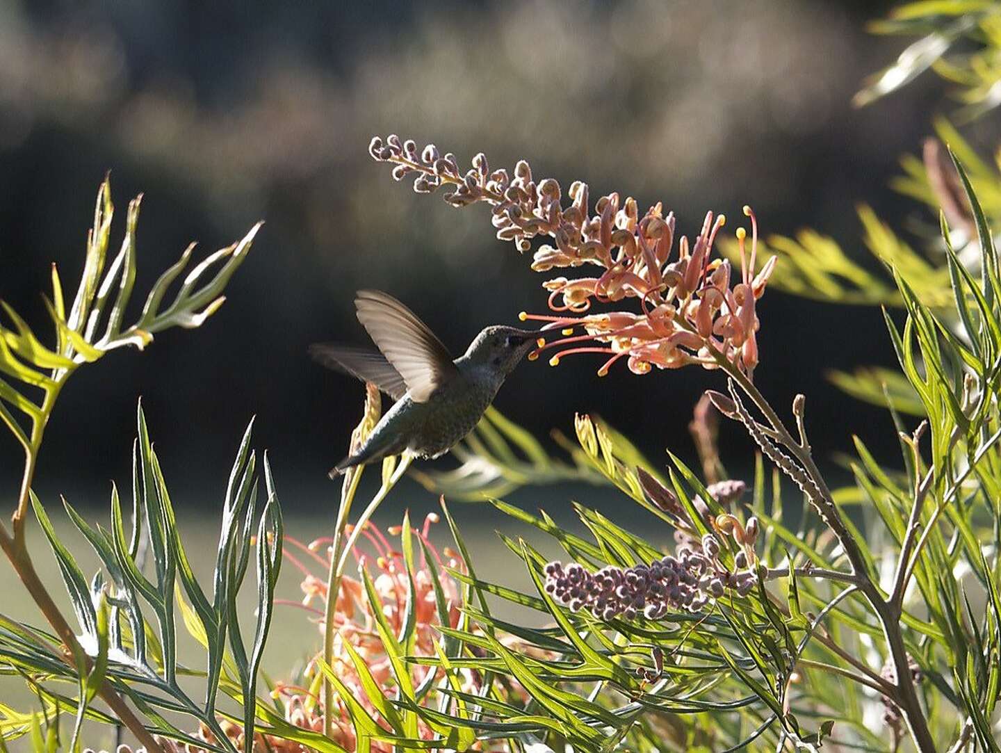 10 reasons to visit Santa Cruz now