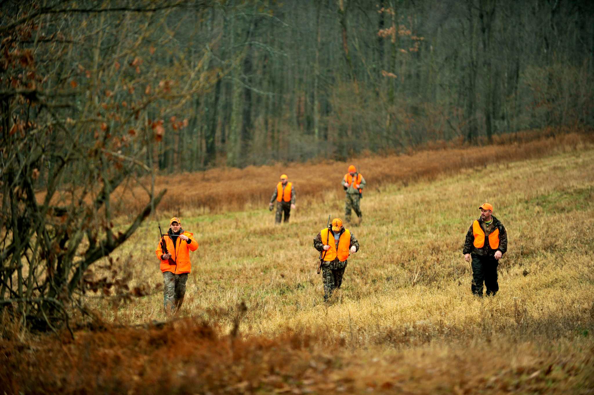 DEEP: Hunters now sharing woods with hikers