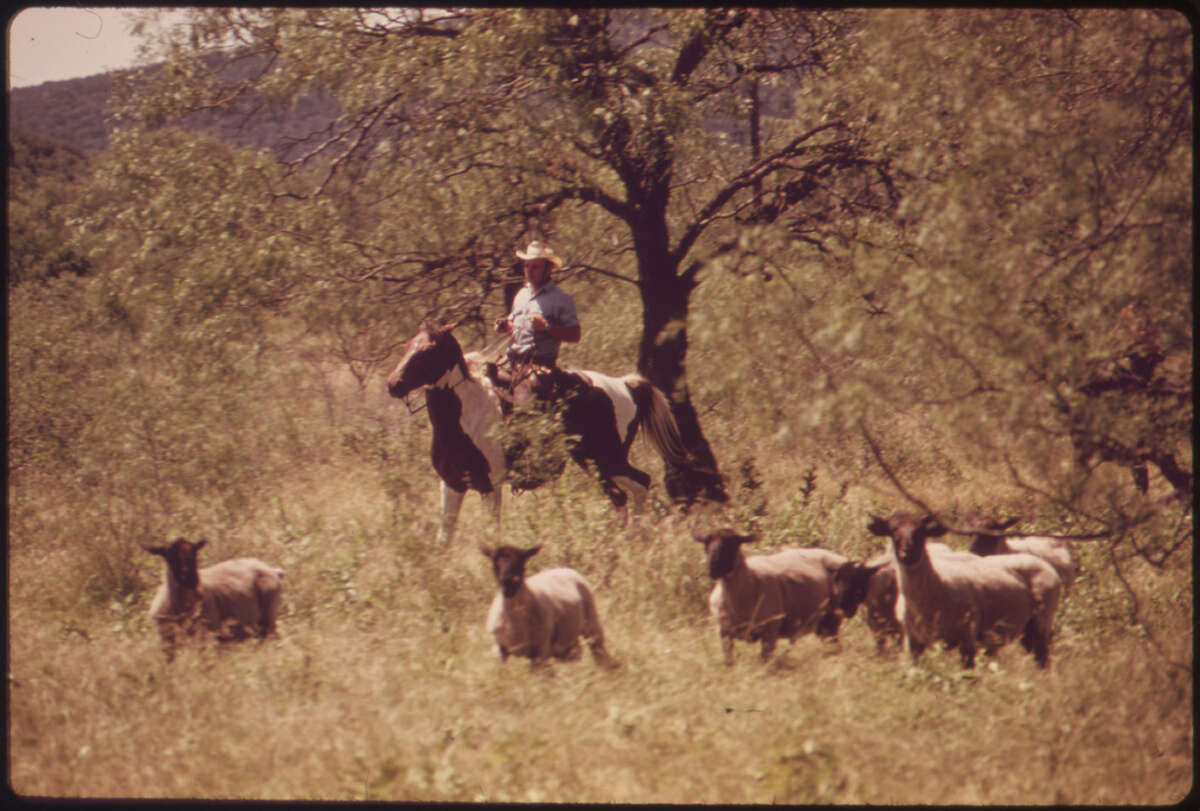 Everyday life in 1970s Texas captured by photos in the National Archives