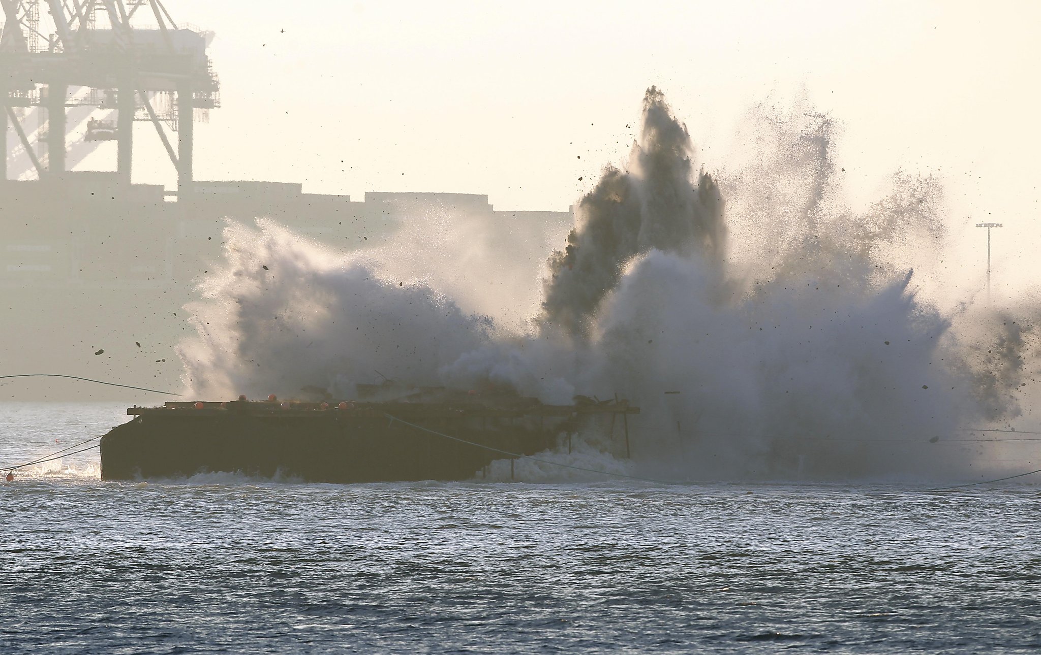 Bay Bridge pier blast spared endangered smelt, Caltrans says