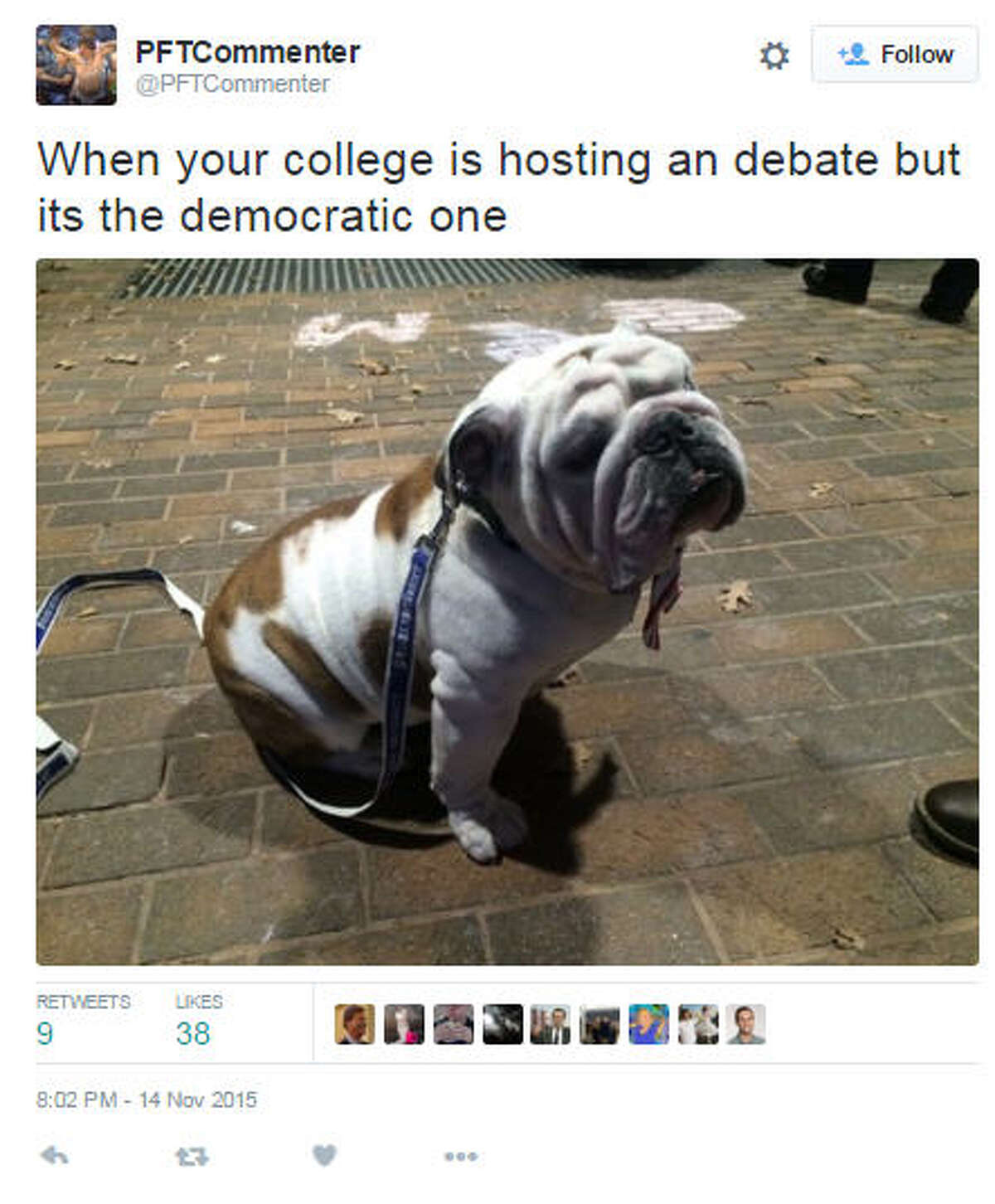 The best political memes from the election season in 2015