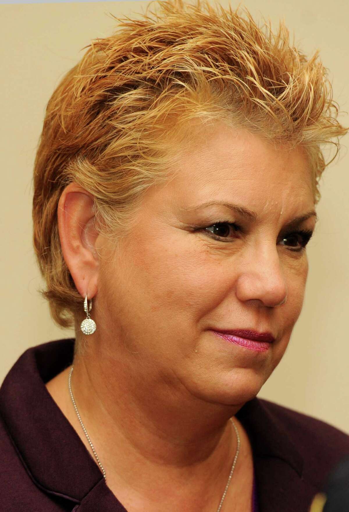 Ganim unveils transition army, reaches out to UB