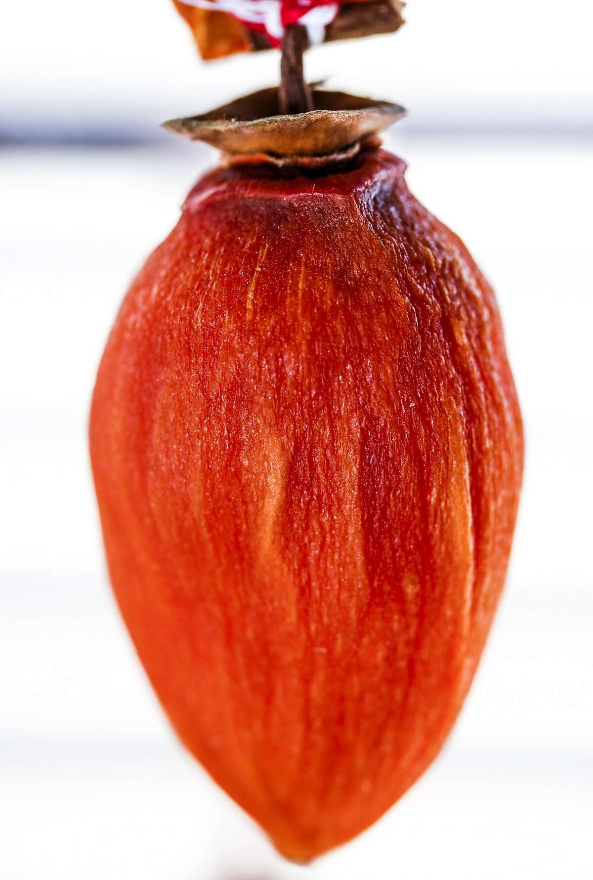 Hoshigaki time: Bay Area chefs embrace elaborate Japanese dried persimmons