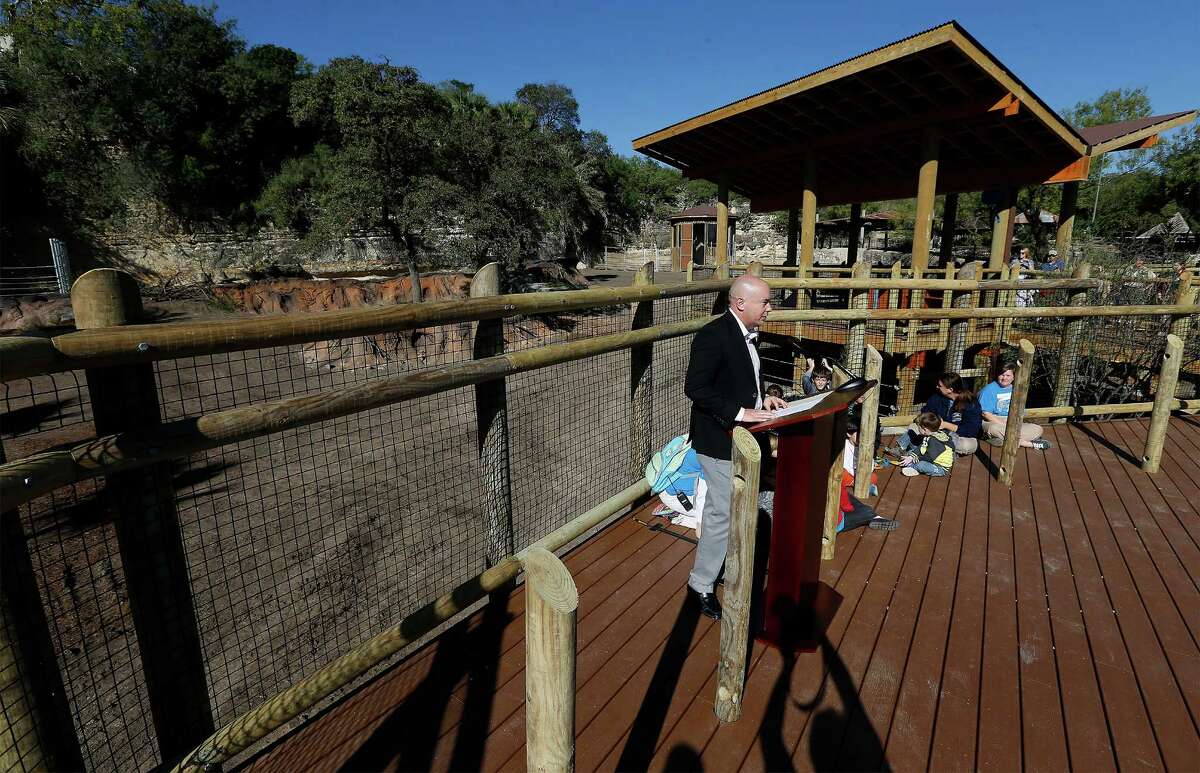 San Antonio Zoo opens new exhibit featuring 3 giraffes