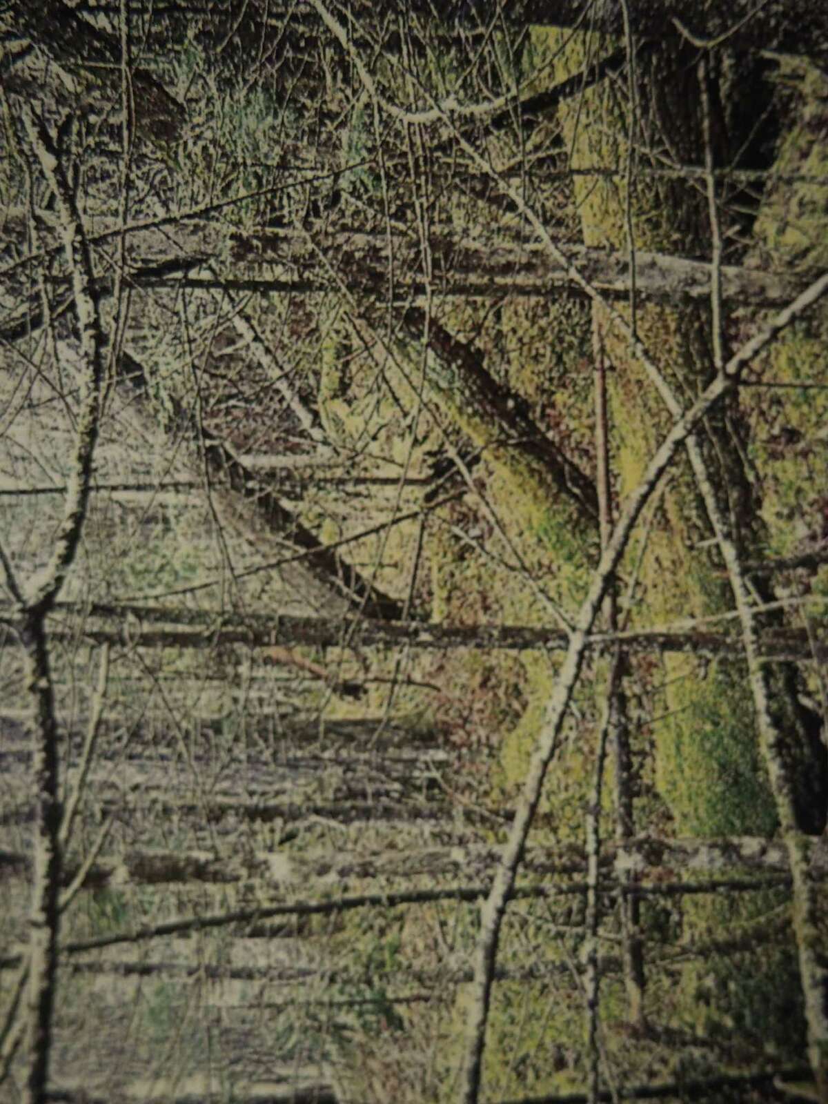 Hundreds aid search for Troy man, Thomas Messick, lost in Adirondacks