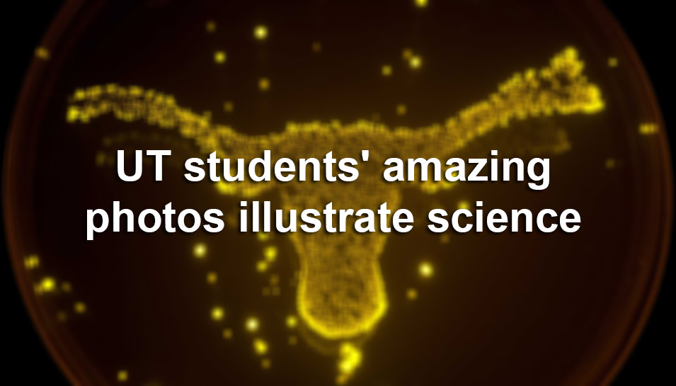 University of Texas students illustrate 'extraordinary beauty of ...
