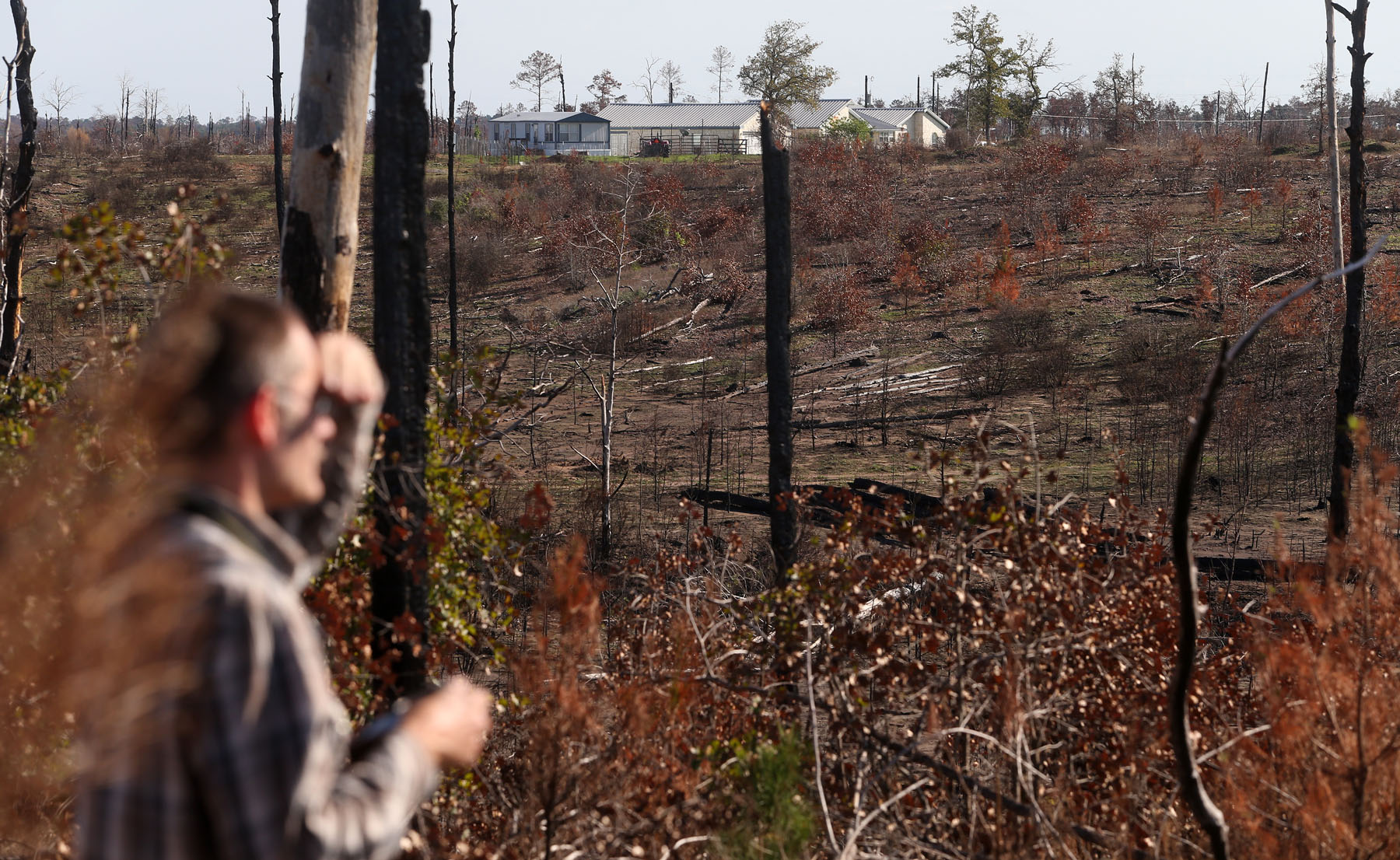 Four years after a historic fire, a new approach at work in Bastrop County