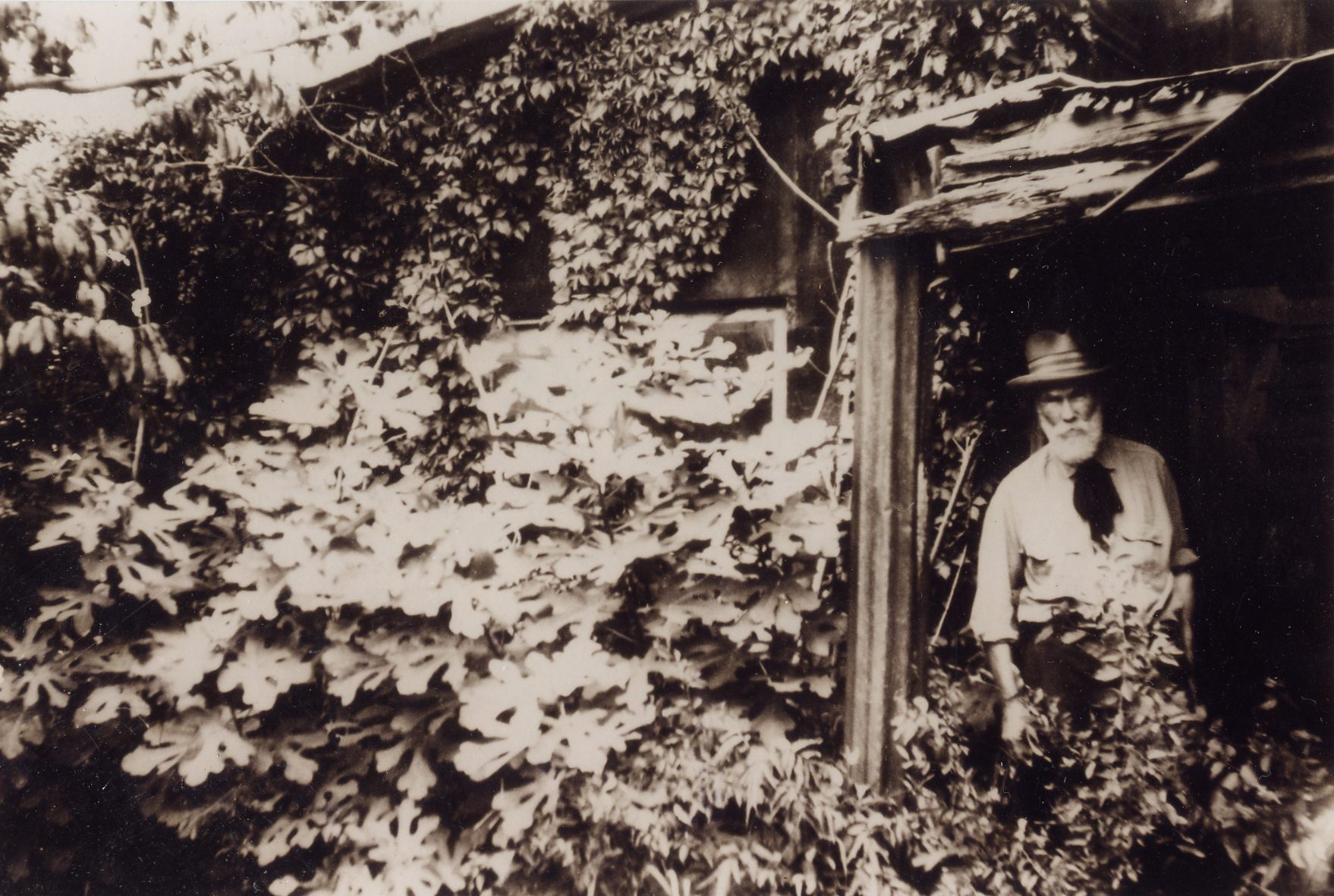 Frank Reaugh, painter of Texas Plains, celebrated 74 years after death