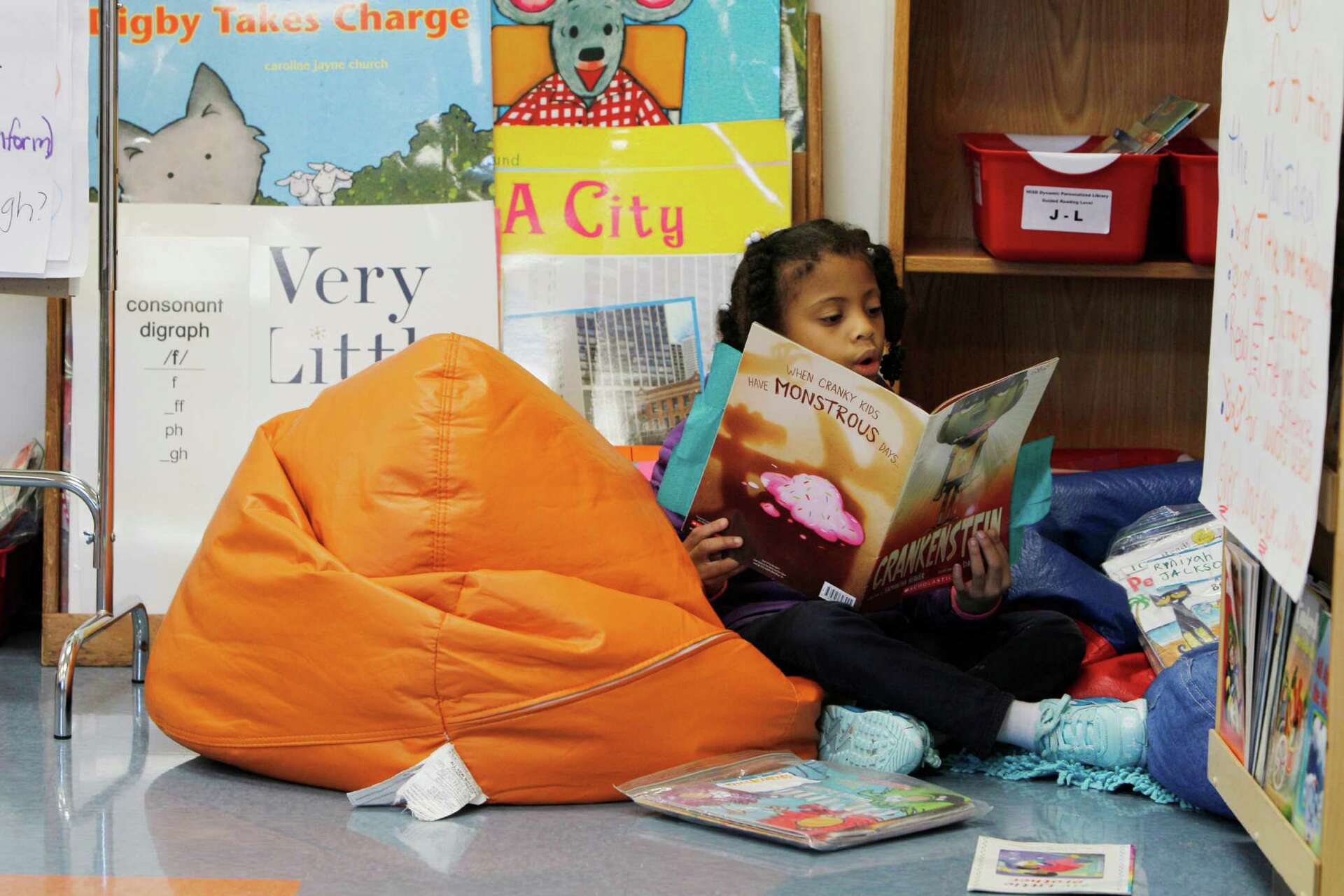 Literacy crisis visualized in nine charts