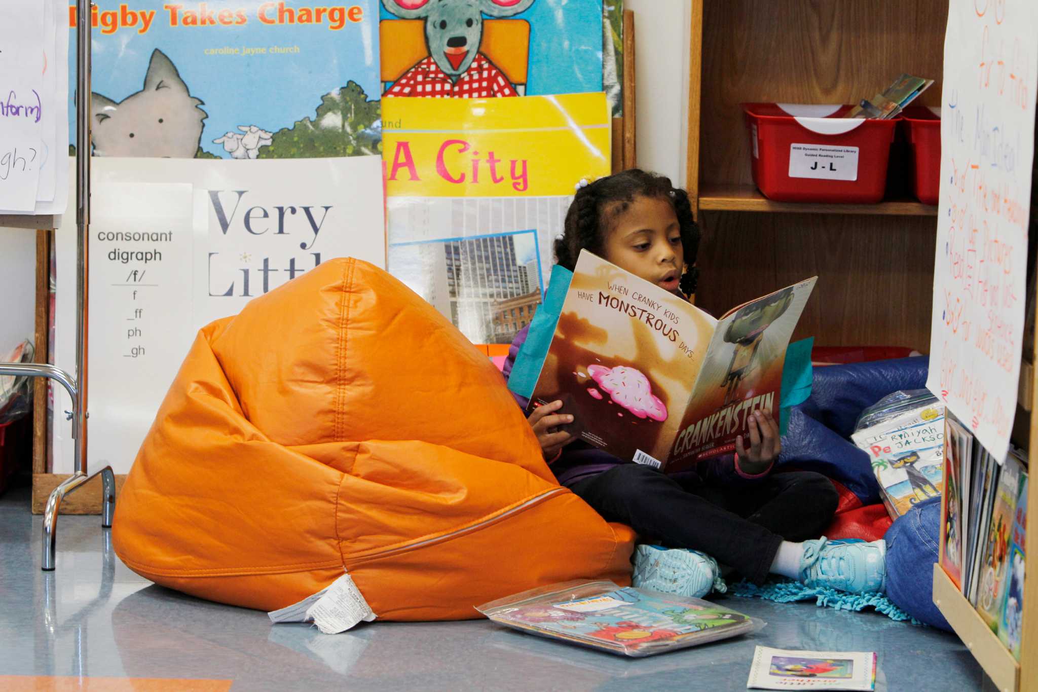 Literacy crisis visualized in nine charts