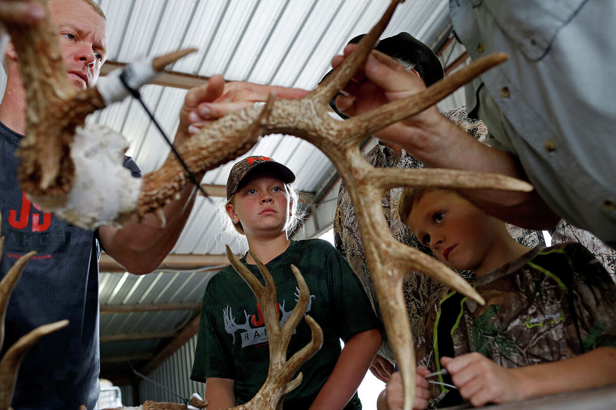 Muy Grande deer contest oldest in the state