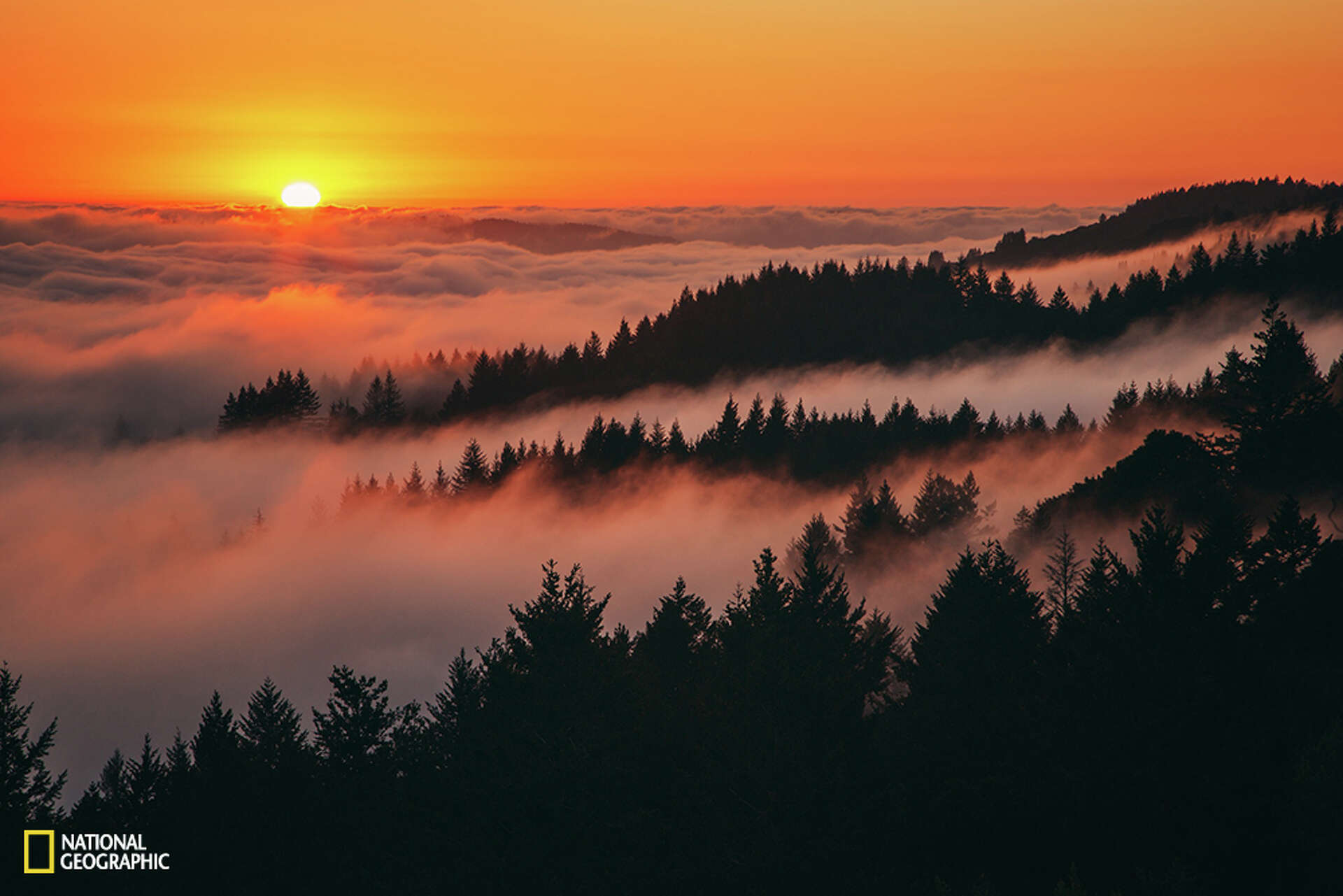 Oakland photographer's image of Marin a finalist in National Geographic ...