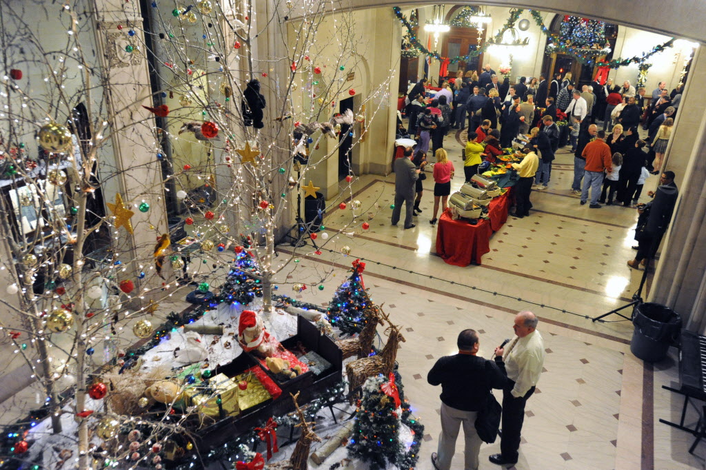 Albany city tree lights up Wednesday