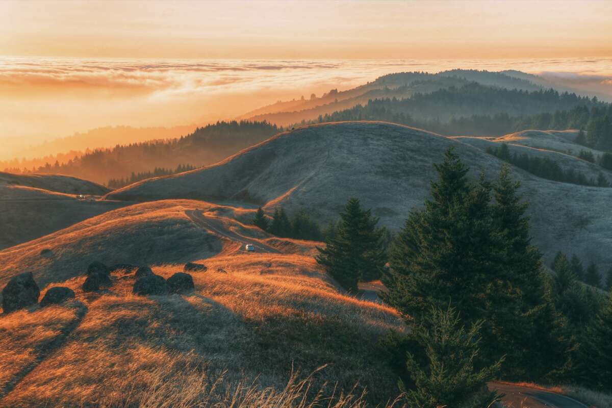 Oakland photographer's image of Marin a finalist in National Geographic ...