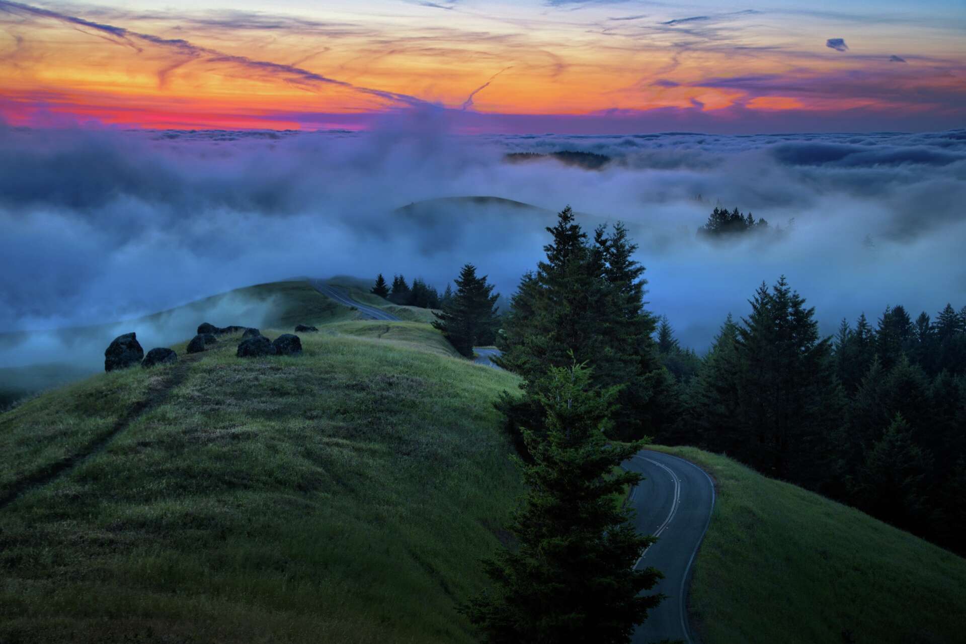 Oakland photographer's image of Marin a finalist in National Geographic ...