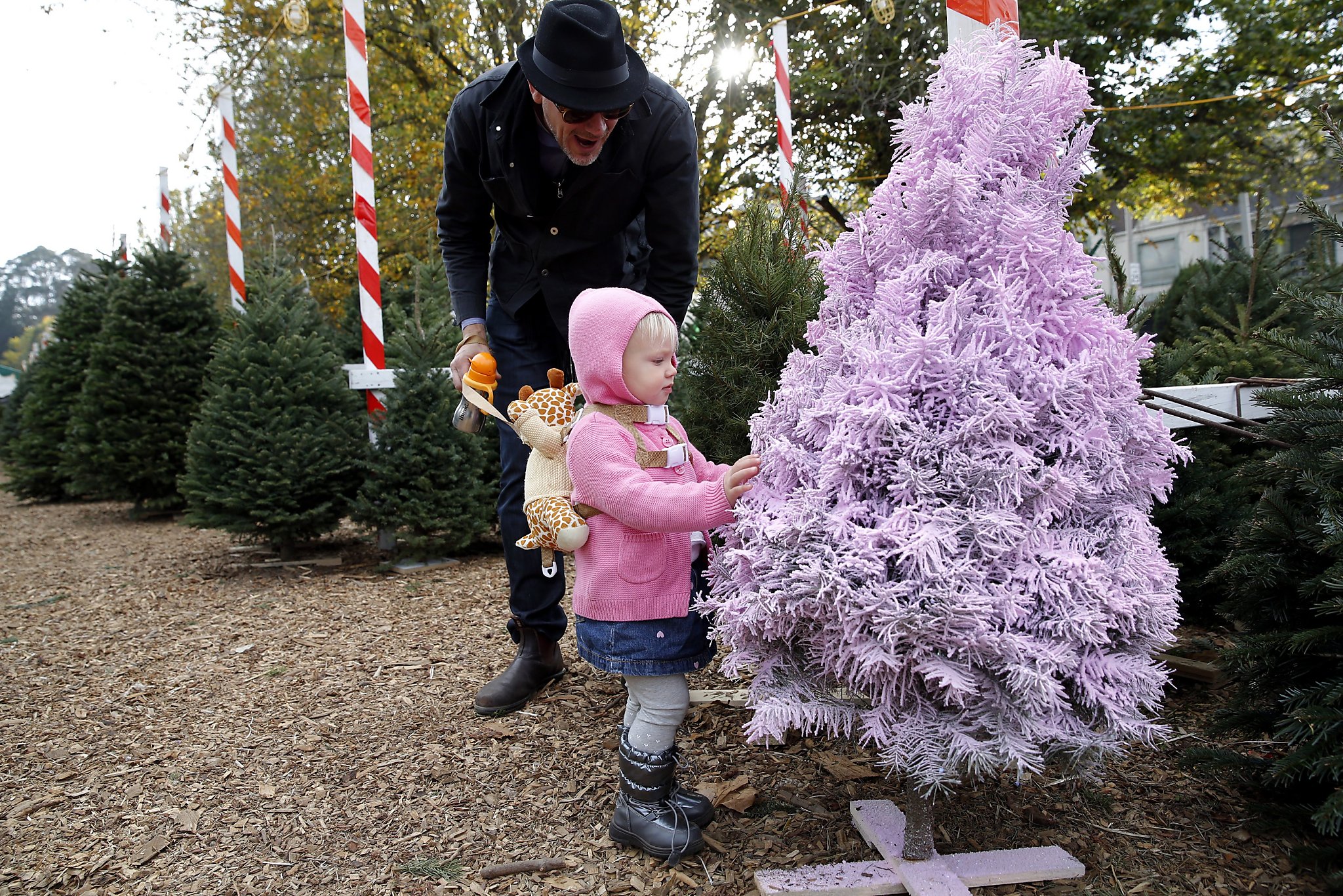 Fake versus real Christmas trees: The needling never ends