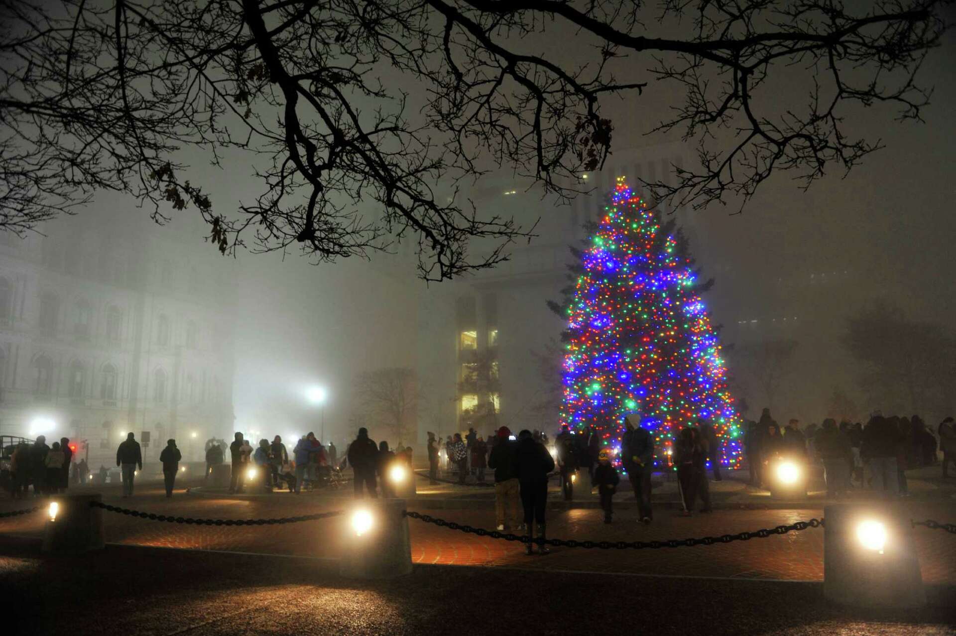 Photos: Christmas tree lighting at Empire State Plaza
