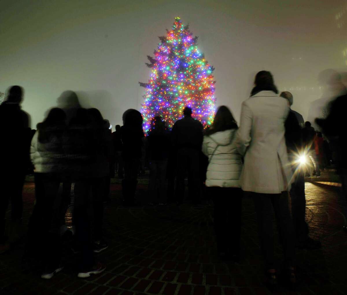 Photos: Christmas tree lighting at Empire State Plaza
