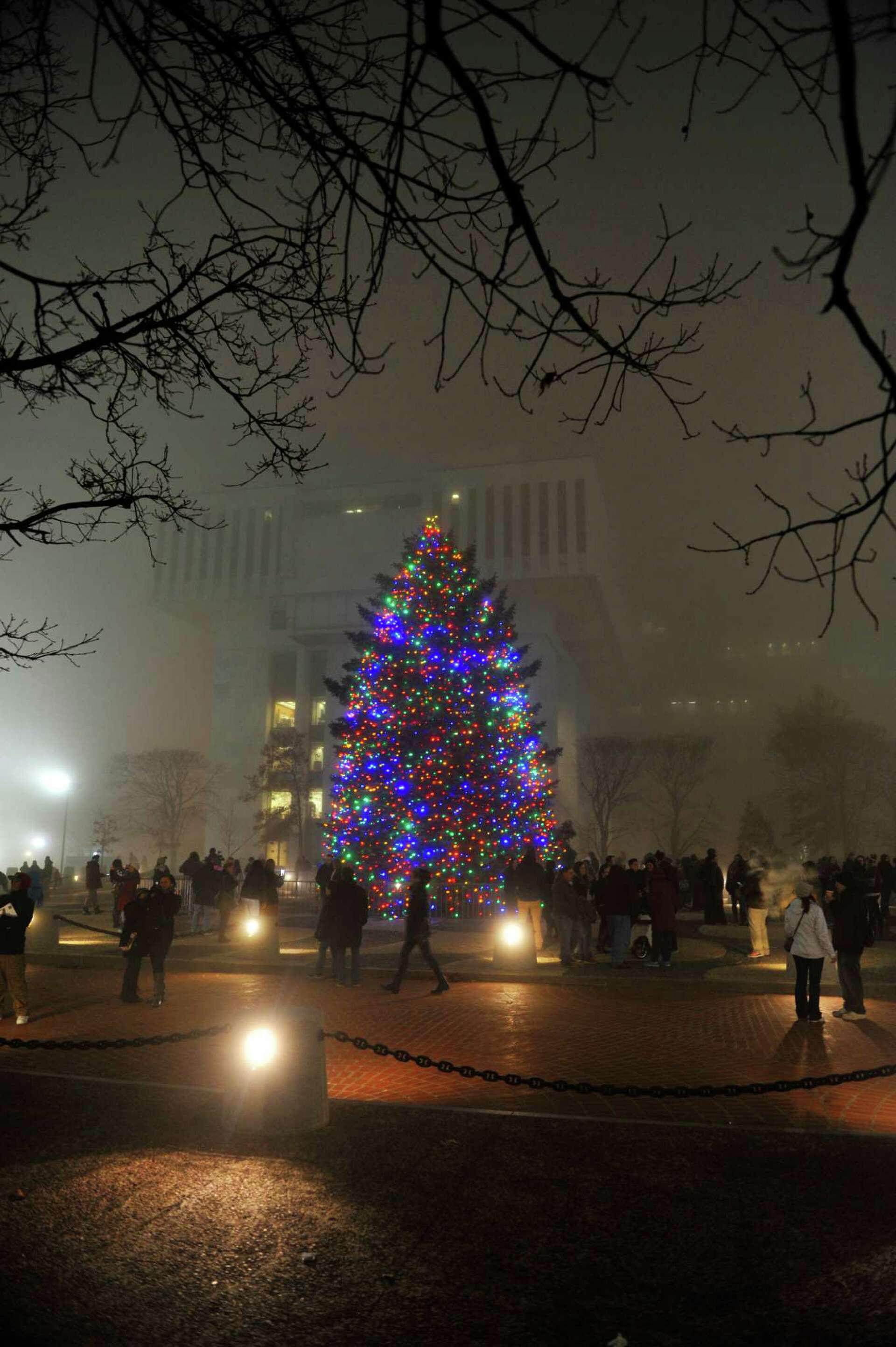 Photos: Christmas tree lighting at Empire State Plaza