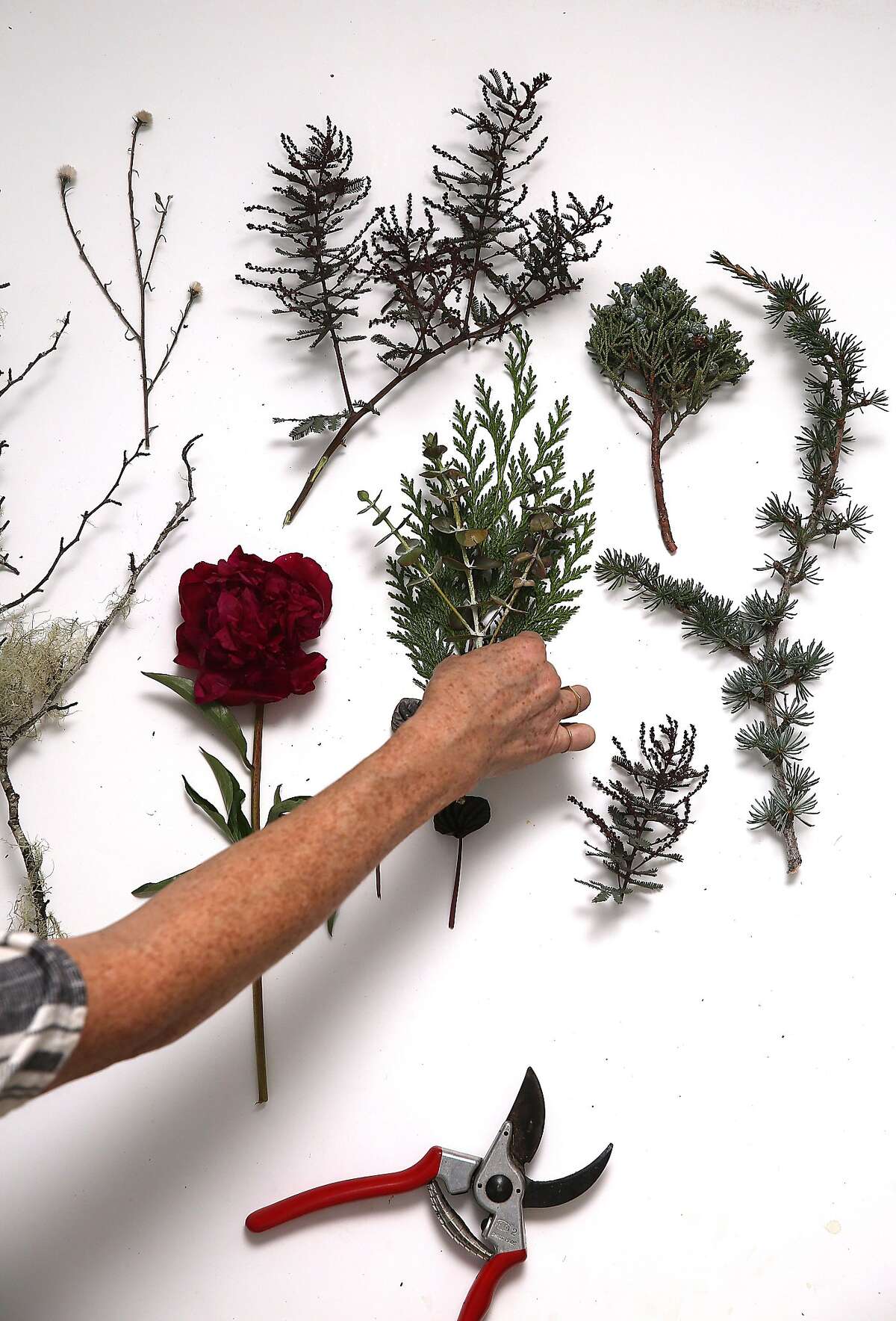 Floral designer celebrates season’s natural beauty