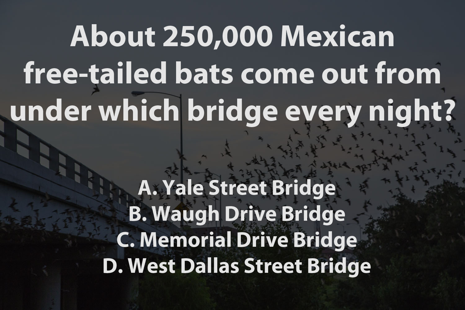 Only local Houston people will know the answer to these questions