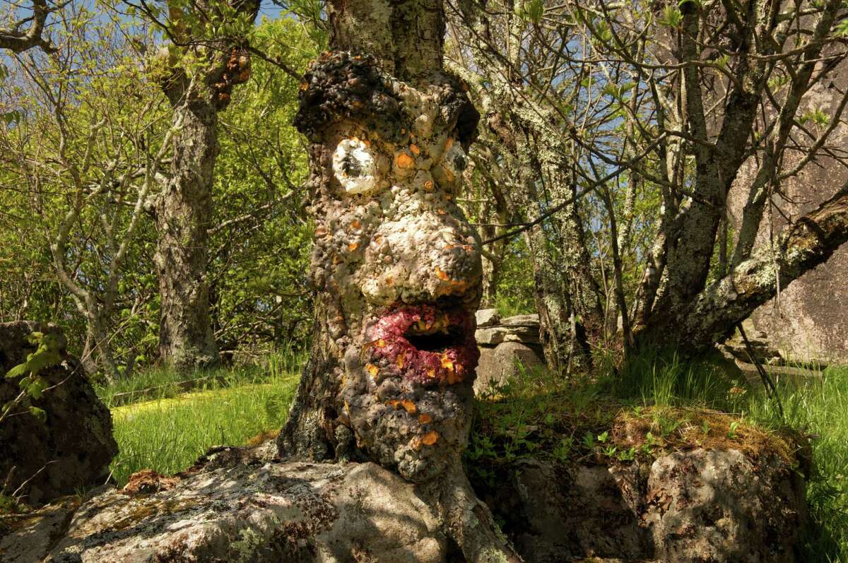 No wizards, just ghosts at creepy Land of Oz park