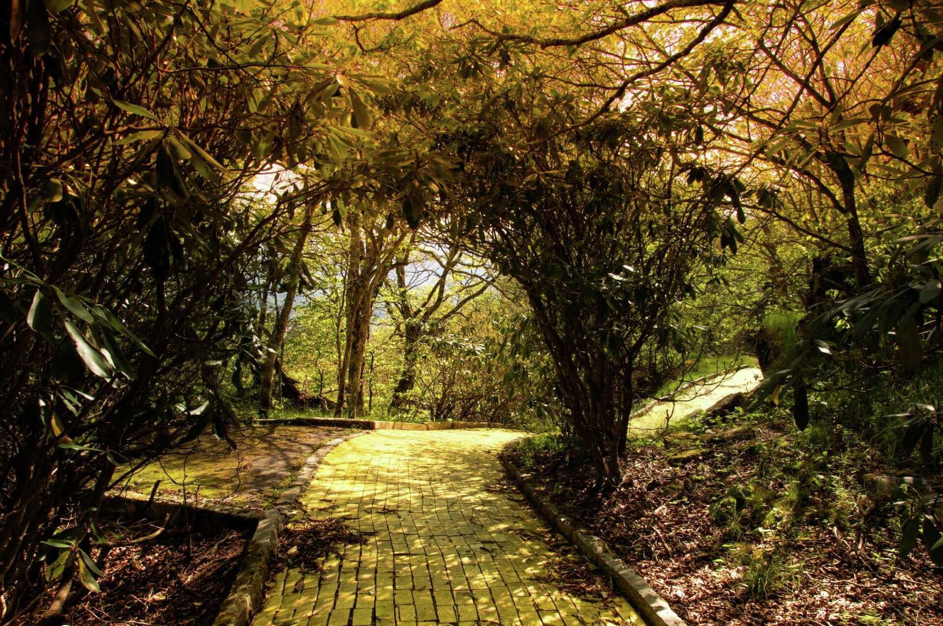 No wizards, just ghosts at creepy Land of Oz park