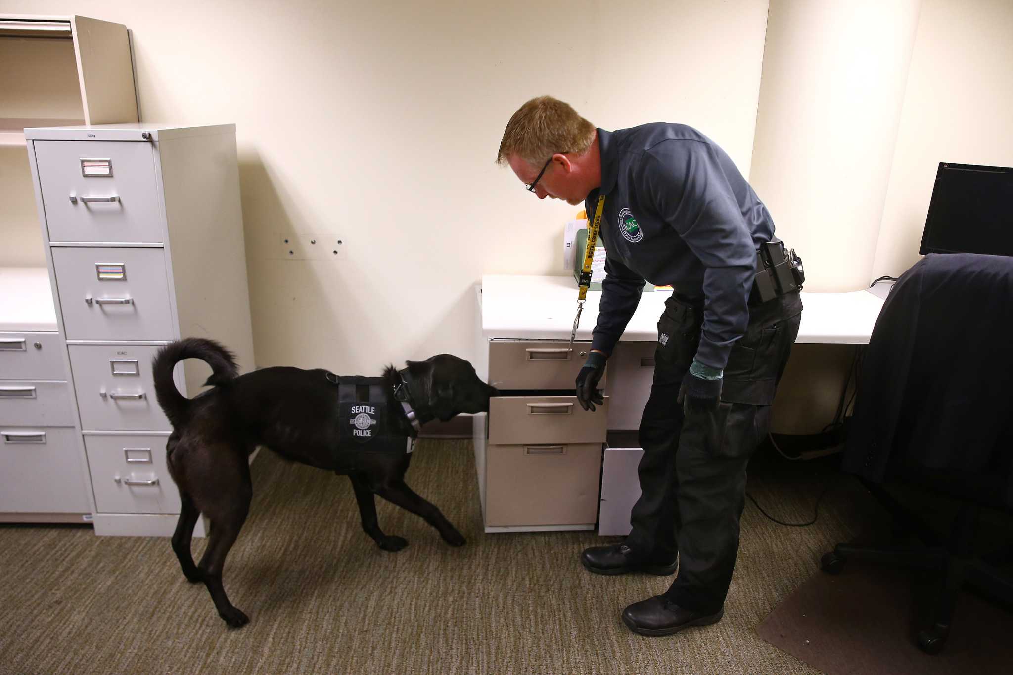 Charges: Mercer Island man dealt child rape videos from his $1M home