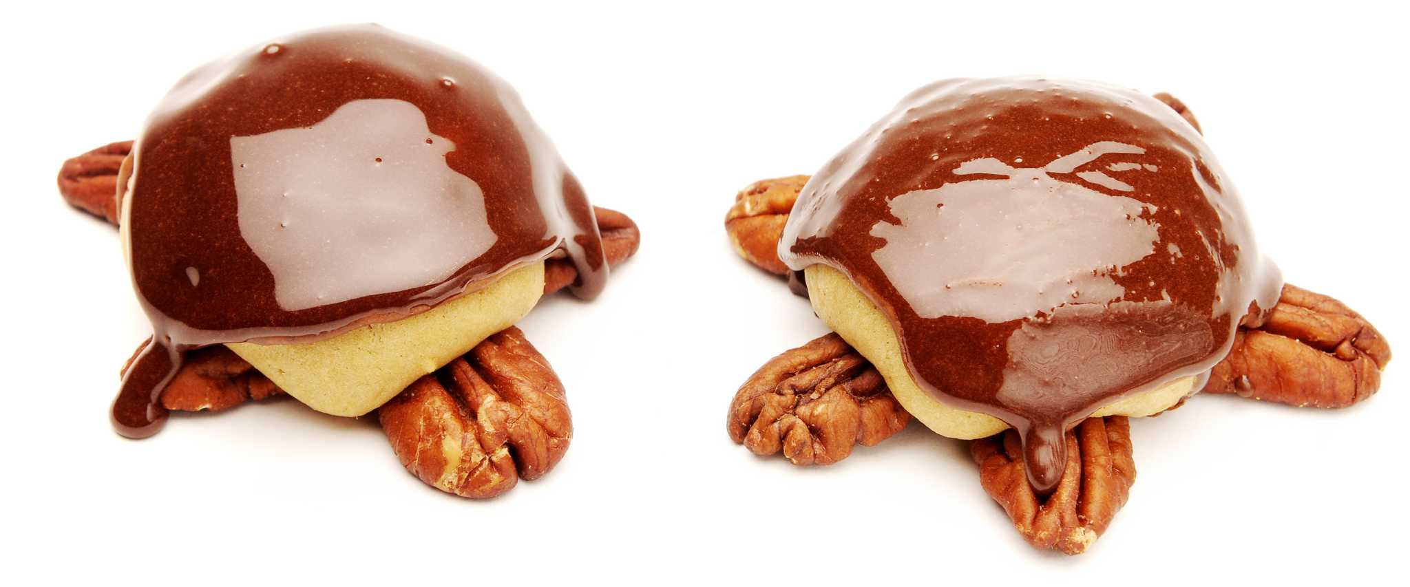 Hall of Fame Cookie Guide: Turtle Cookies
