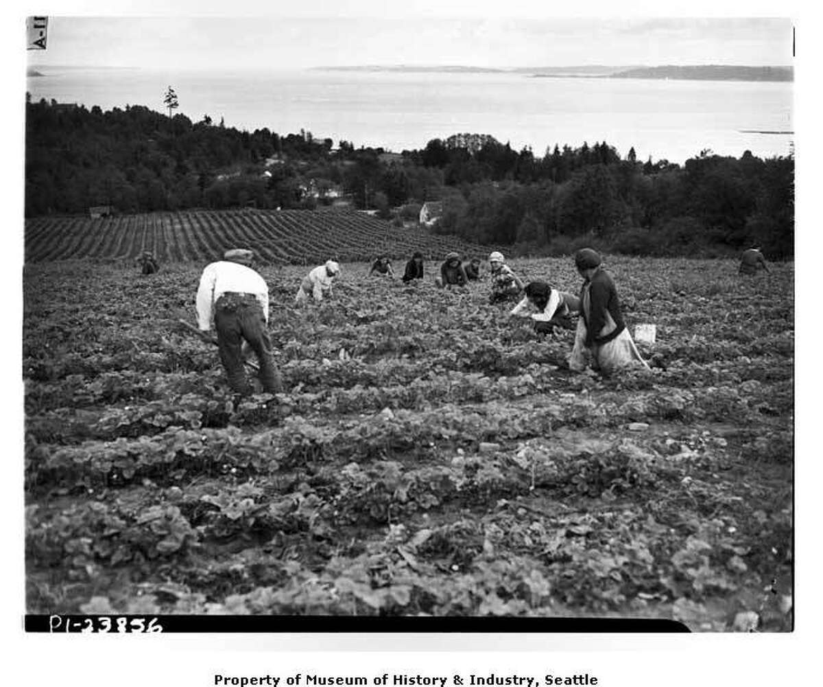 Photos show life of early Native Americans in Seattle