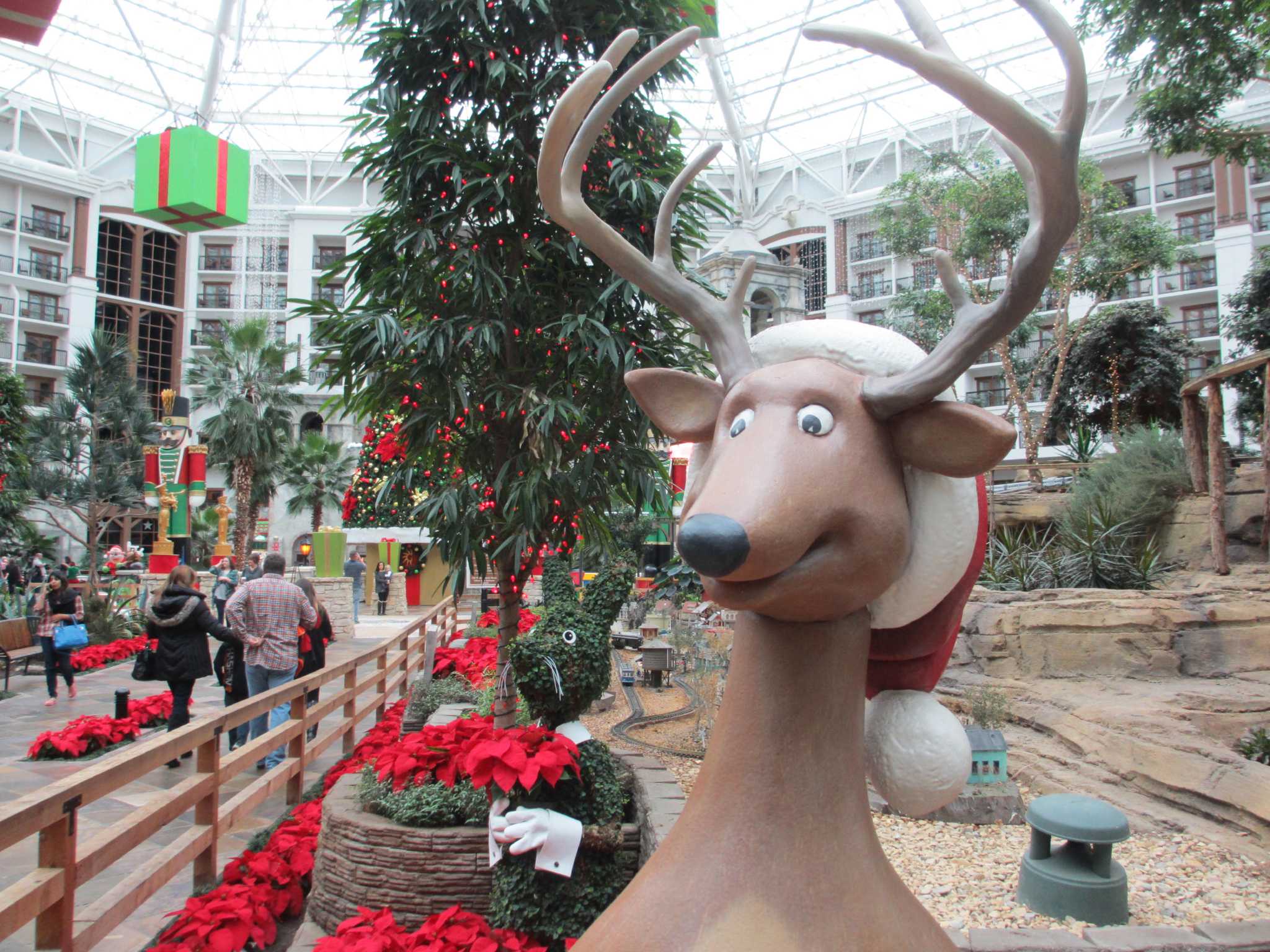 9 facts about reindeer