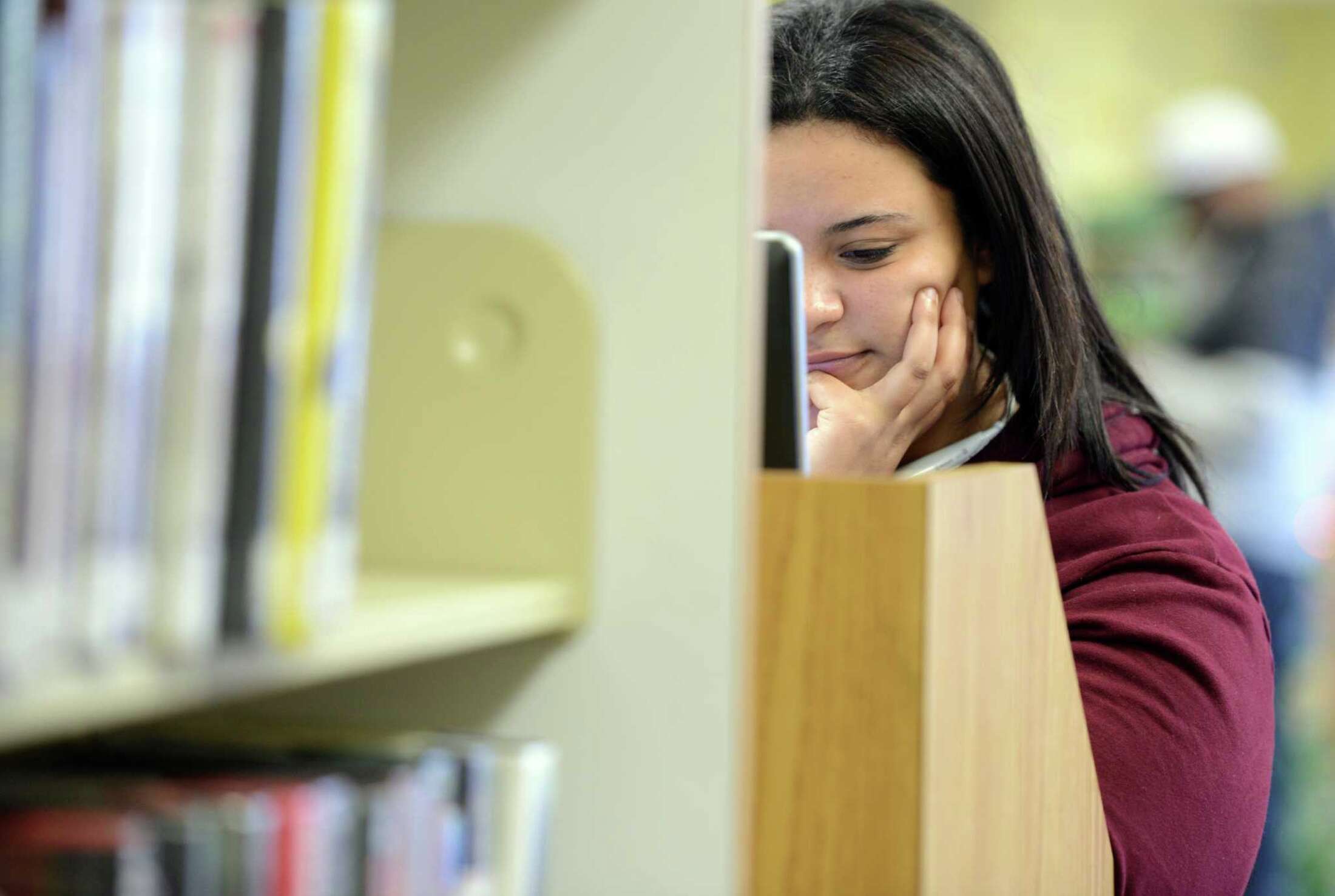 City to get more library branches