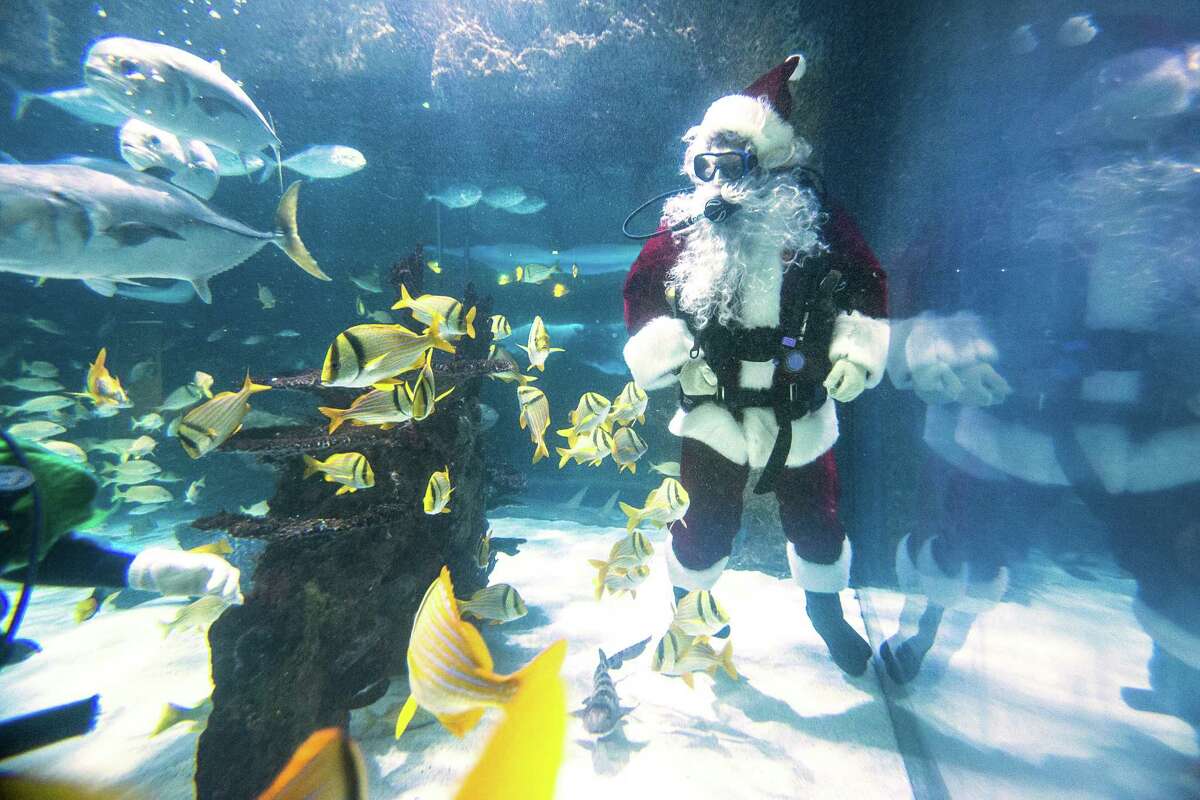 Santa goes for a dive at Downtown Aquarium