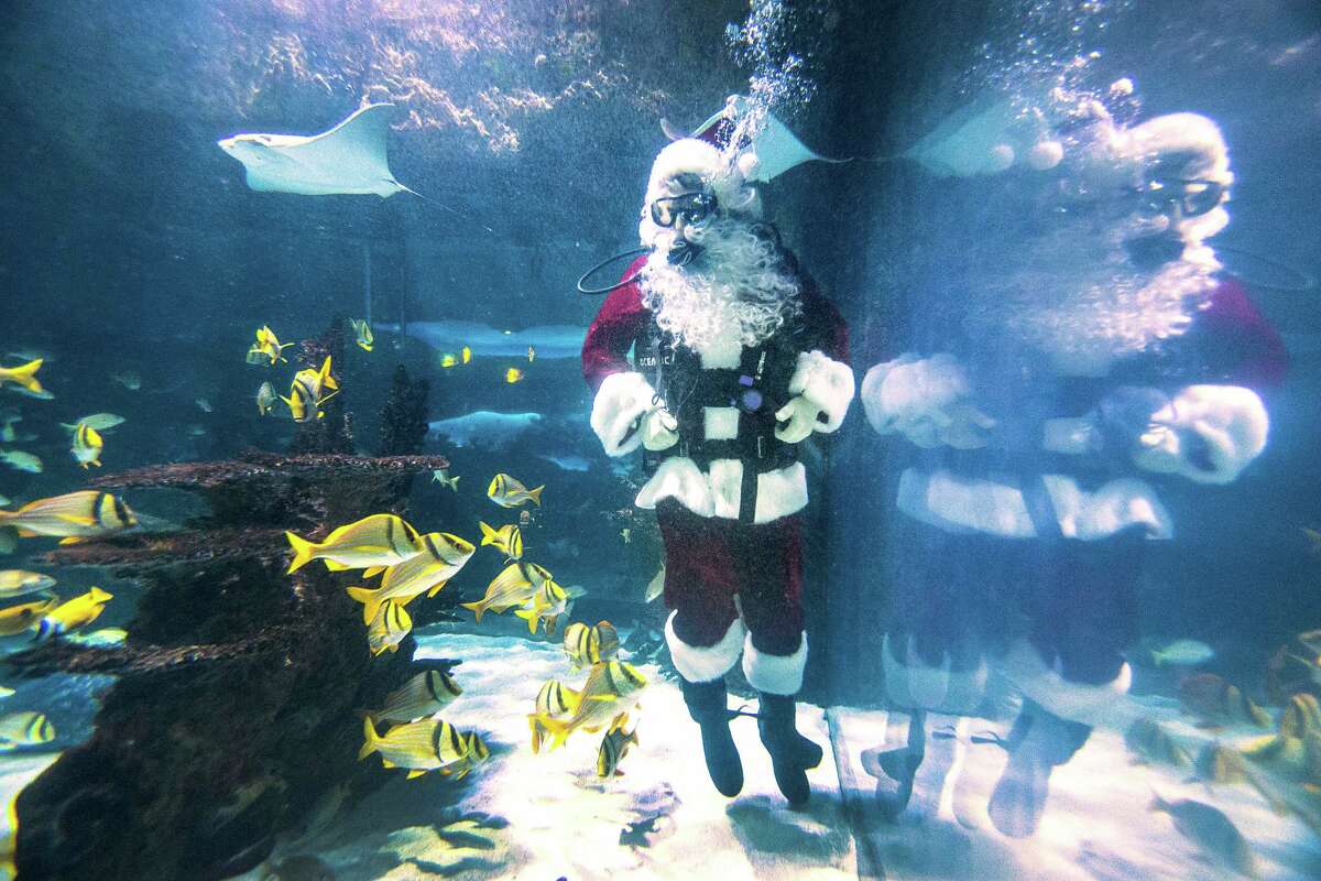 Santa goes for a dive at Downtown Aquarium