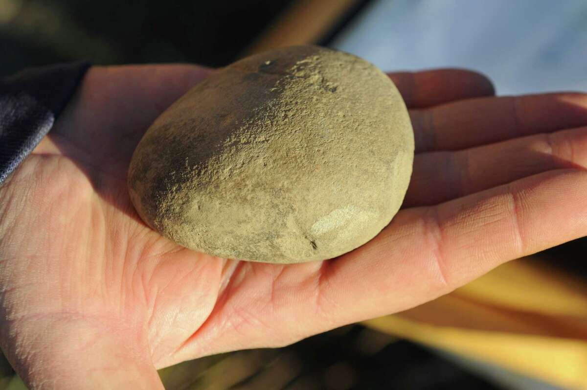 State Museum digs artifacts from when mastodons roamed Wolf Road