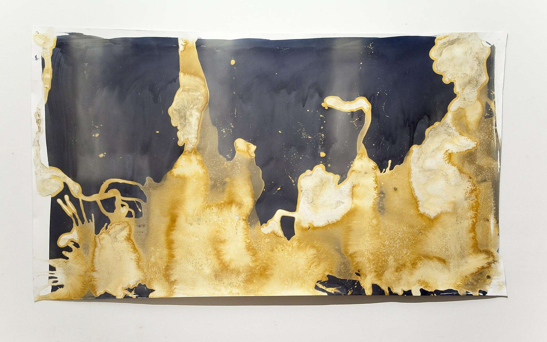 Meghann Riepenhoff’s grand (and pretty) experiments