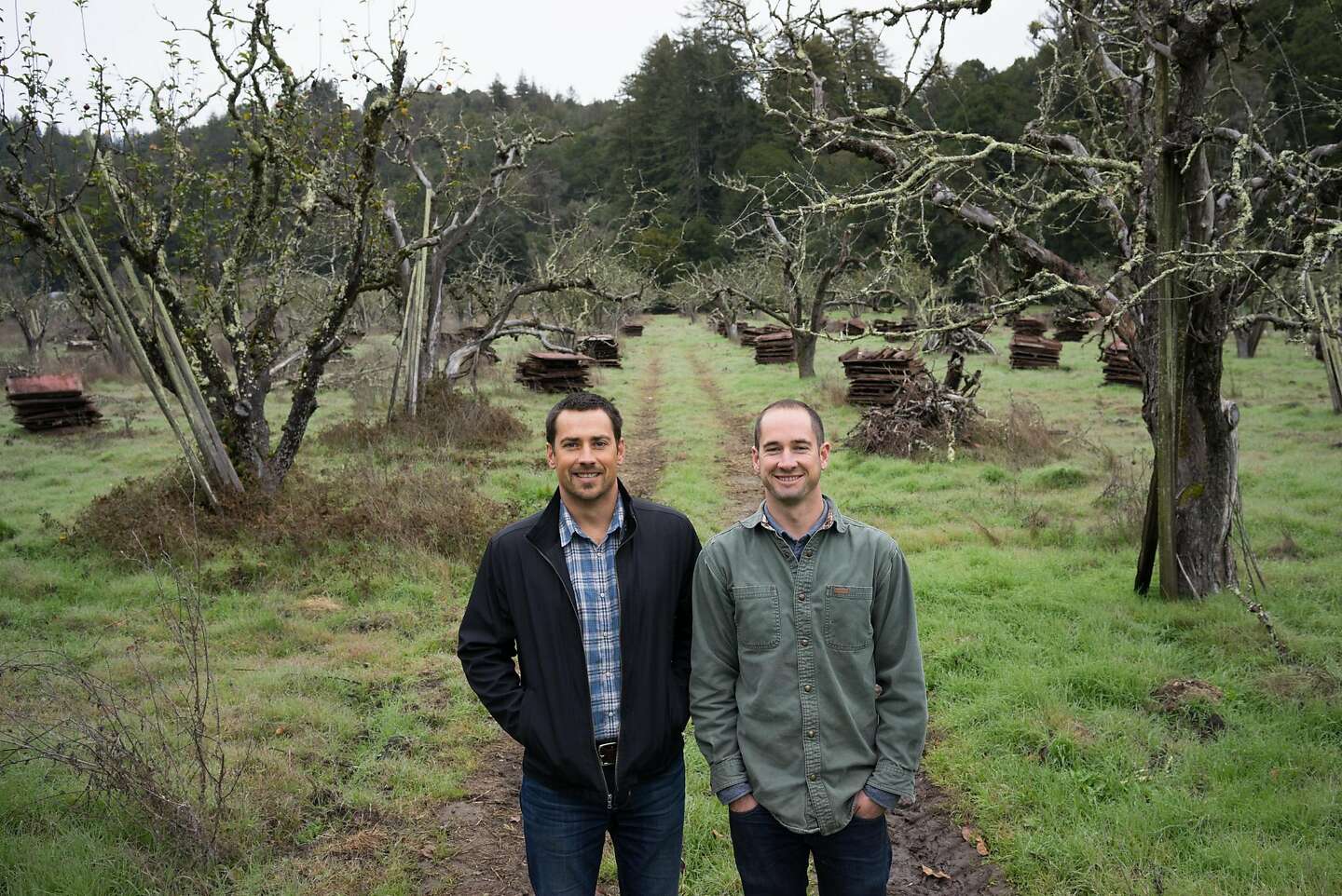 California winemakers embrace new era of cider