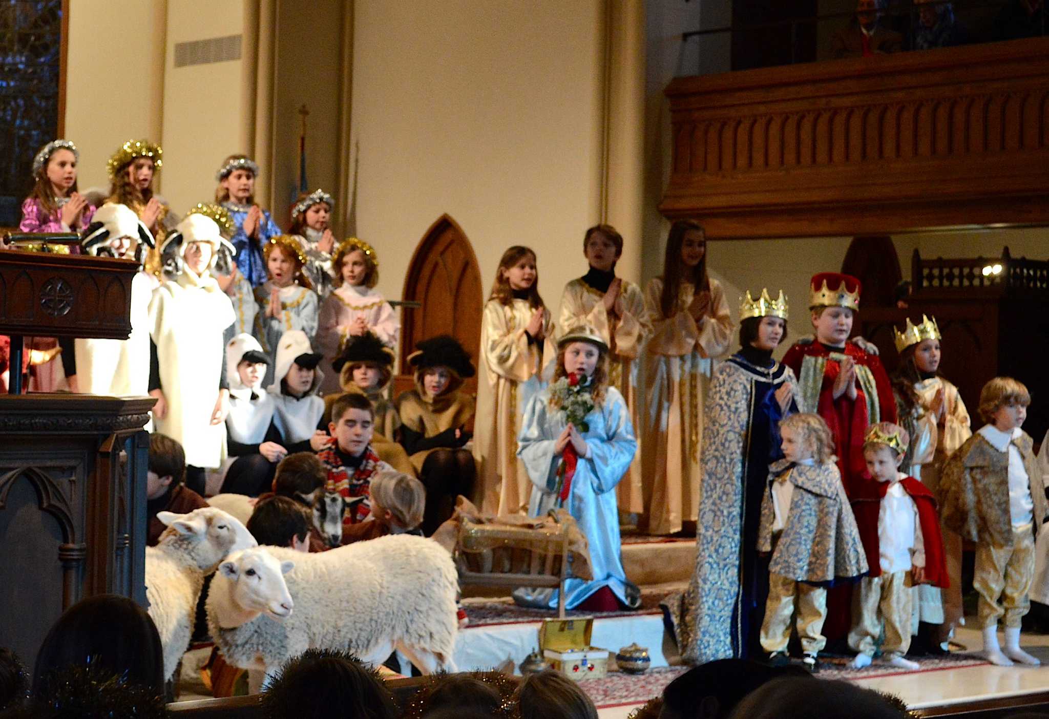 Children, animals deliver ‘news of great joy’ at Trinity’s Christmas ...