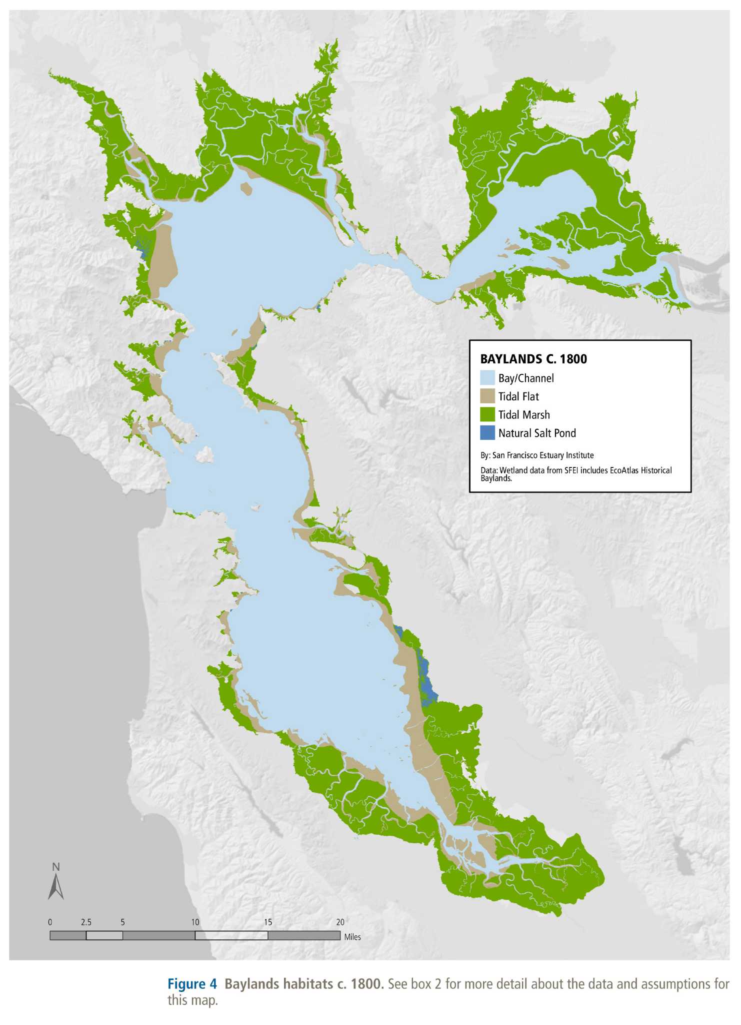 Work to save San Francisco Bay only just begun