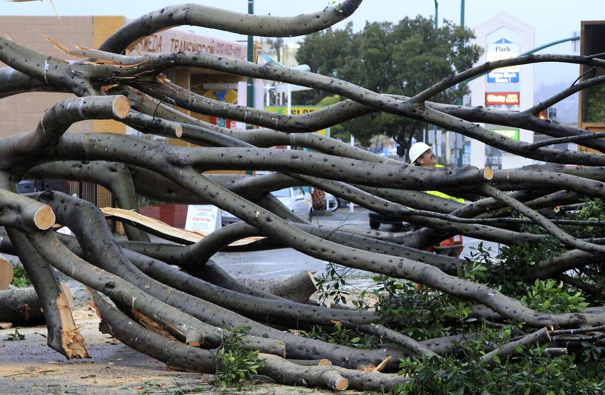 Storms dent drought, could bring Christmas snow to Bay Area peaks