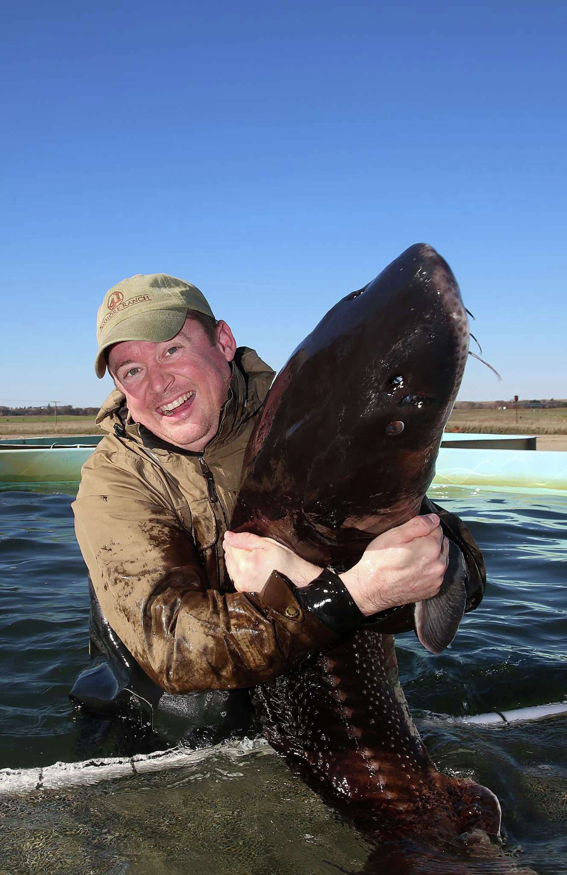 Inside the world of caviar producer Passmore Ranch