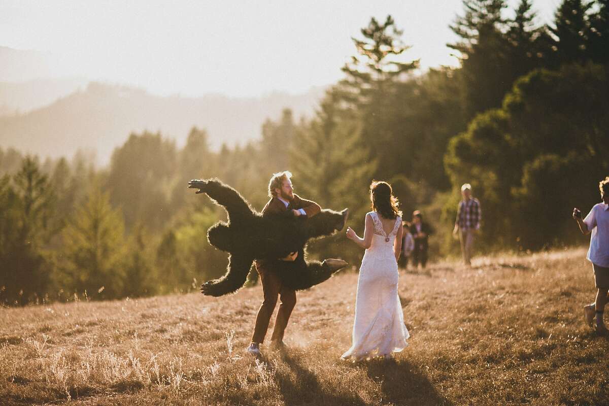 An ‘Amazing Race’ down the aisle for cinematic couple