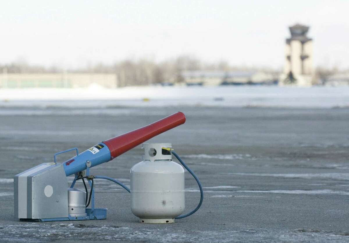 Helicopter bird strikes on the rise